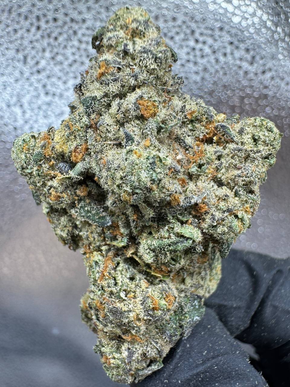Galactic Runtz (Indica) - THCAWHOLESALE